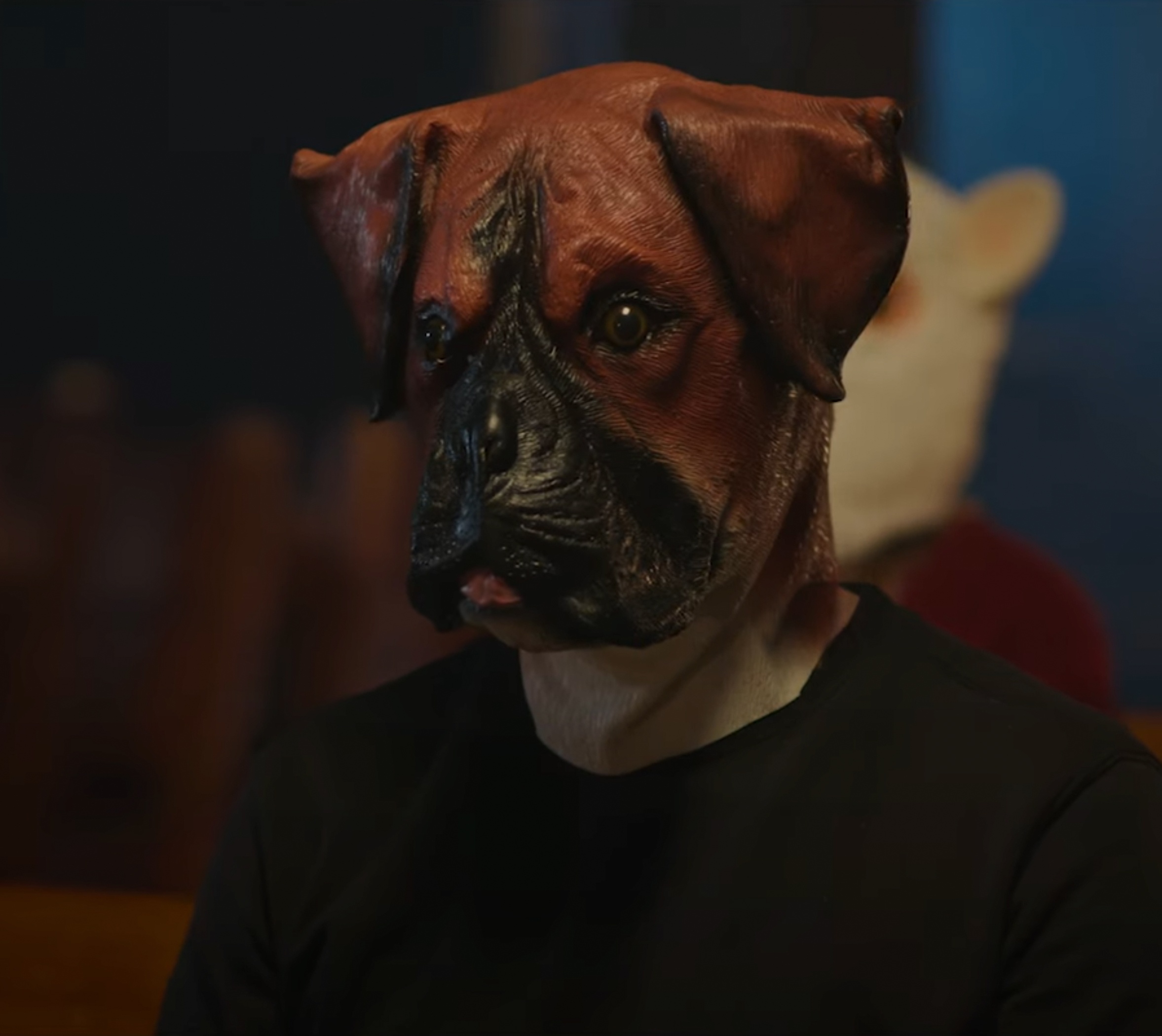 Boxer Dog Head Mask in Self-Help